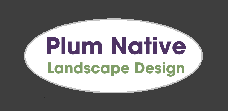 Plum Native Landscape Design
